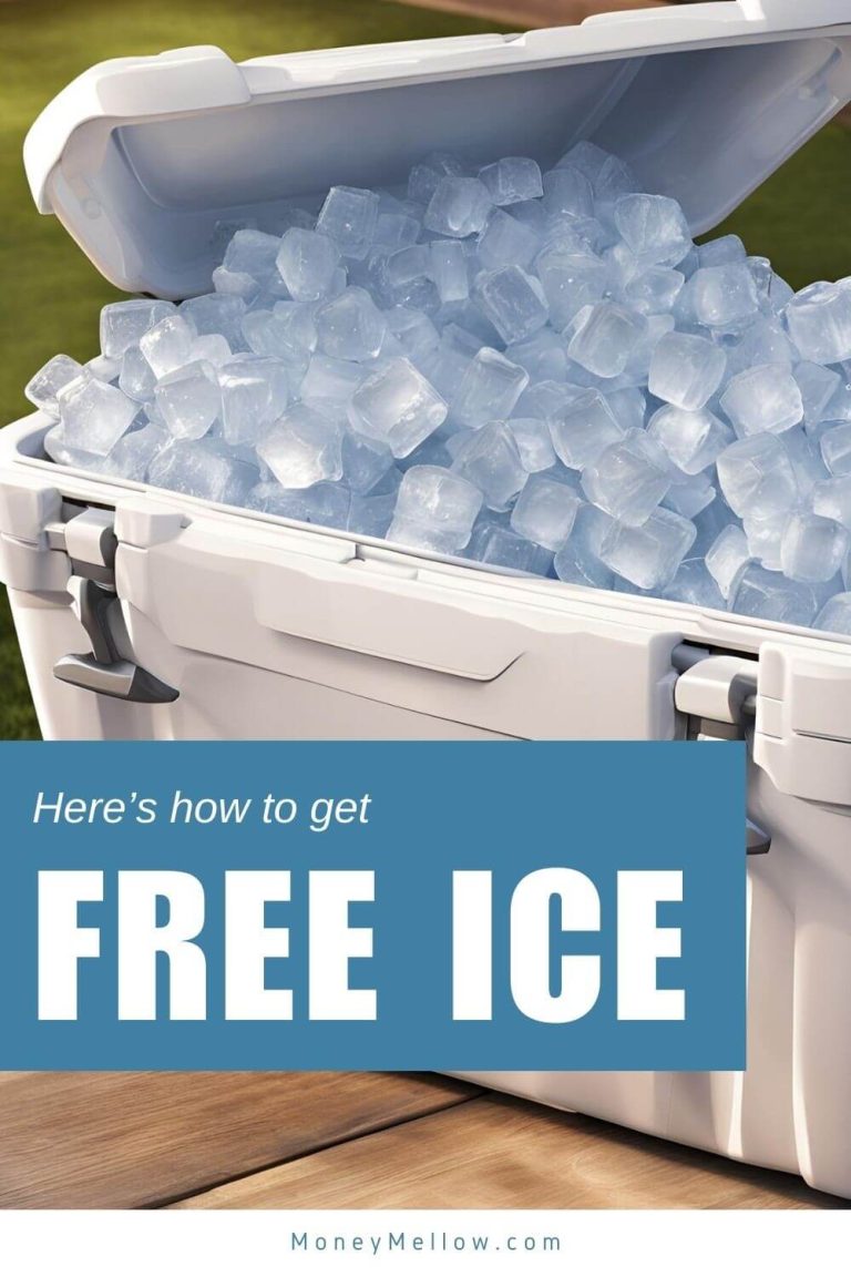 6 Ways to Get Free Ice Near You! | MoneyMellow